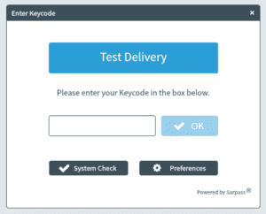 Standard Browser Delivery - Online Assessment - The Candidate ...