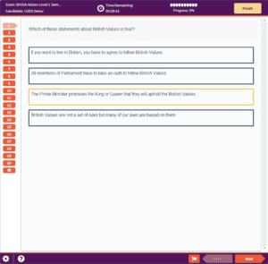 Standard Browser Delivery - Online Assessment - The Candidate ...